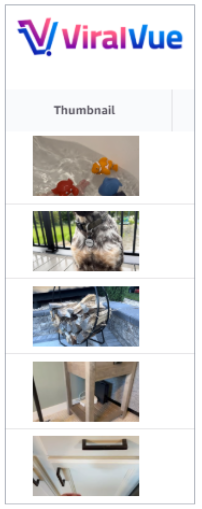 Thumbnail – Viral Vue